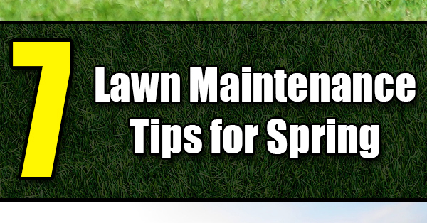 7 Lawn Maintenance Tips for Spring - Golly Gee Gardening