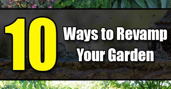 10 Ways to Revamp Your Garden - Golly Gee Gardening 10 Ways to Revamp Your Garden - Golly Gee Gardening