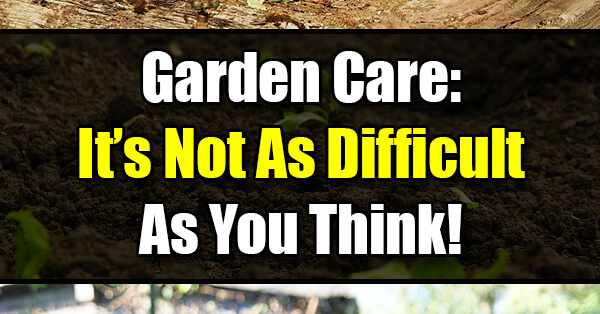 Garden Care: It Is Not As Difficult As You Think! - Golly Gee Gardening